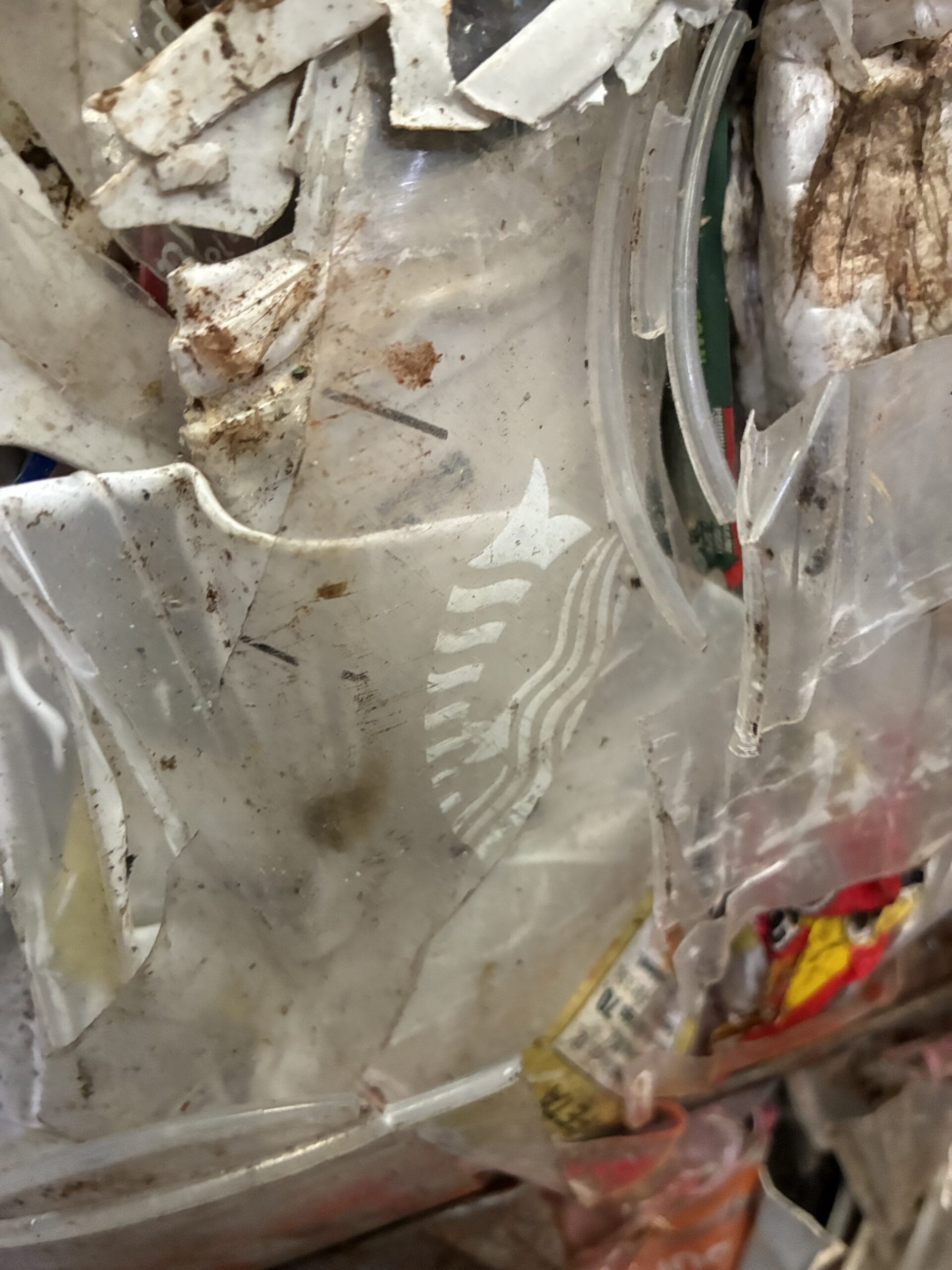 Recycling industry addresses Beyond Plastics report - Resource Recycling